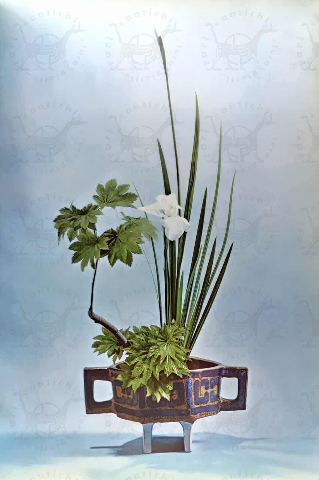 SOFU TESHIGAHARA - Ikebana Sogetsu – libri rari libri antichi e ...
